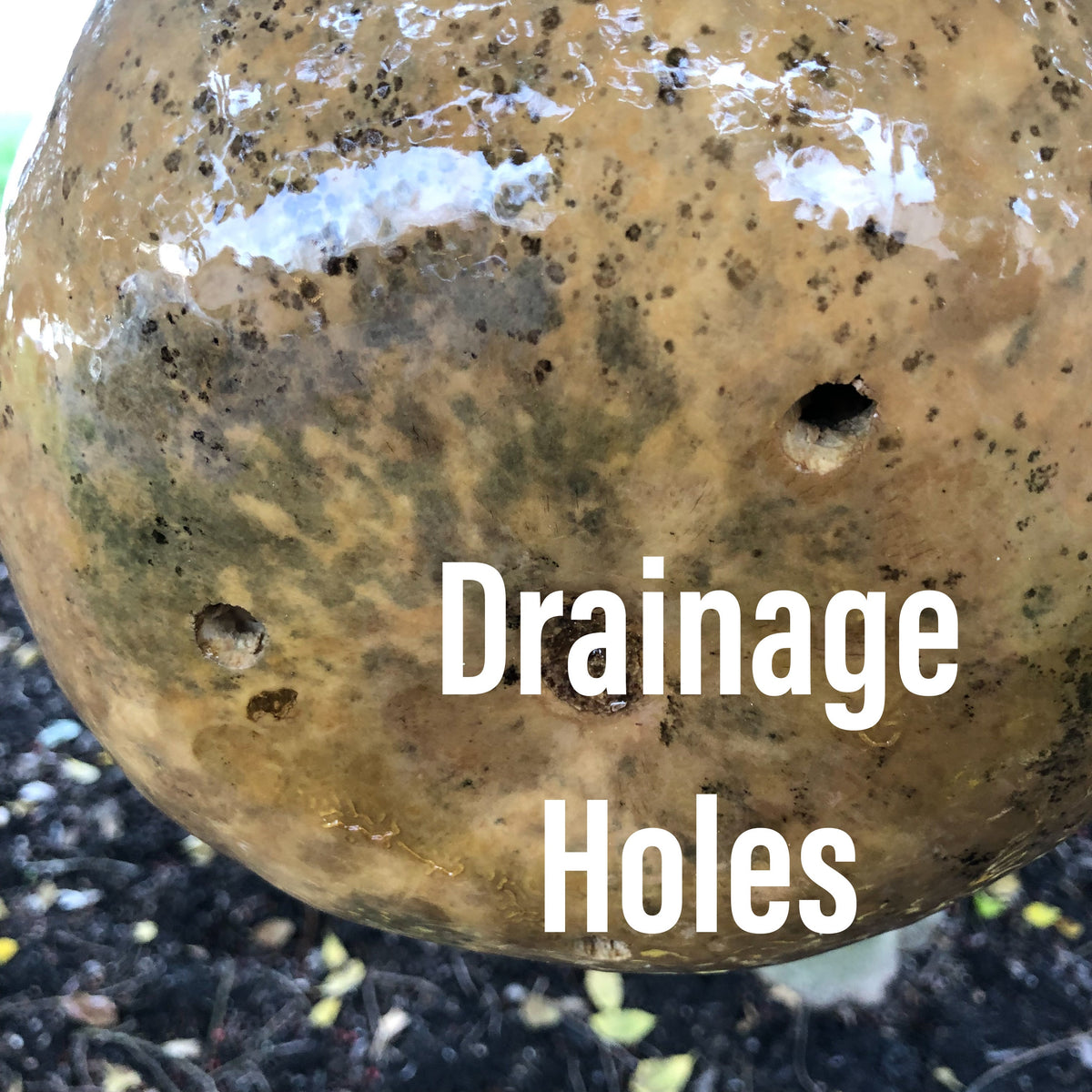 Beautiful Bee Kind Birdhouse Made from a Gourd | G3 – Stone Bridge ...